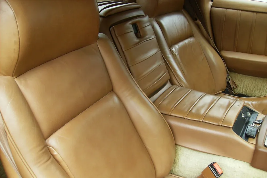 Pontiac Mera, the Other 80's Kit Car | Tarmac Life | Motoring | Tech ...